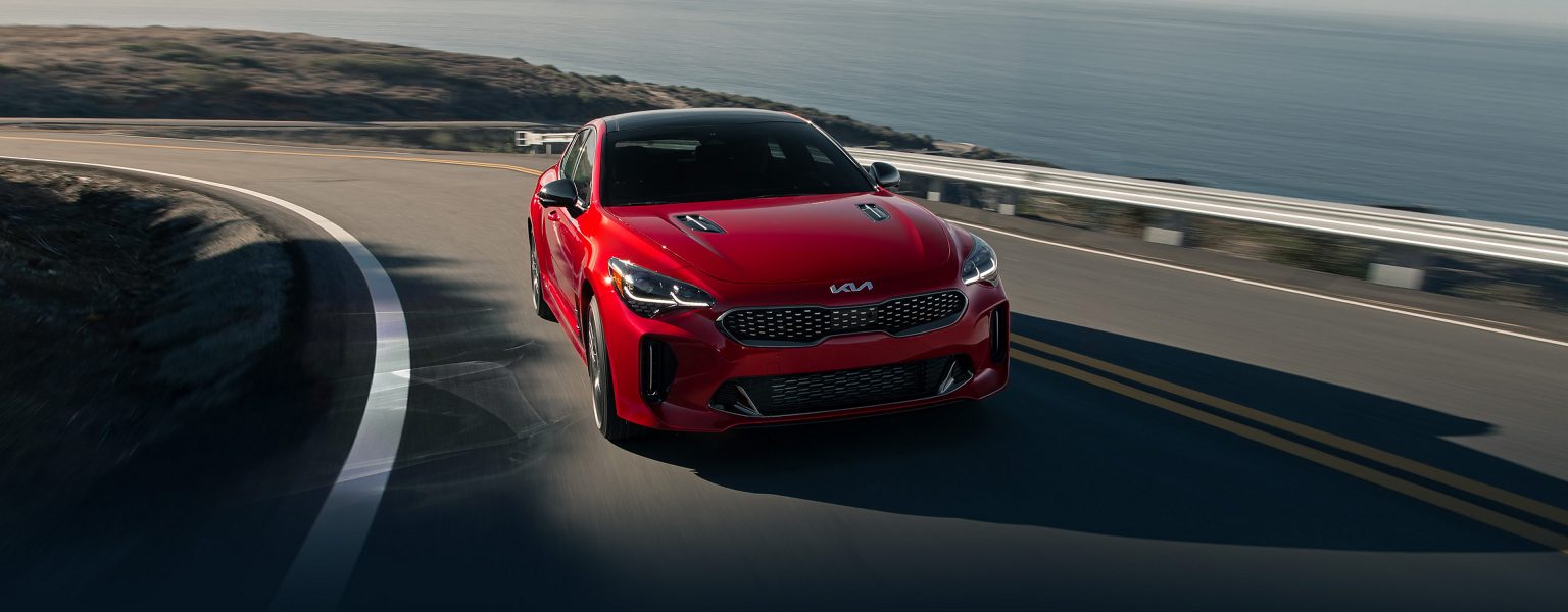 Motec M142 Plug in Kit - Kia Stinger | Tuned By Anton